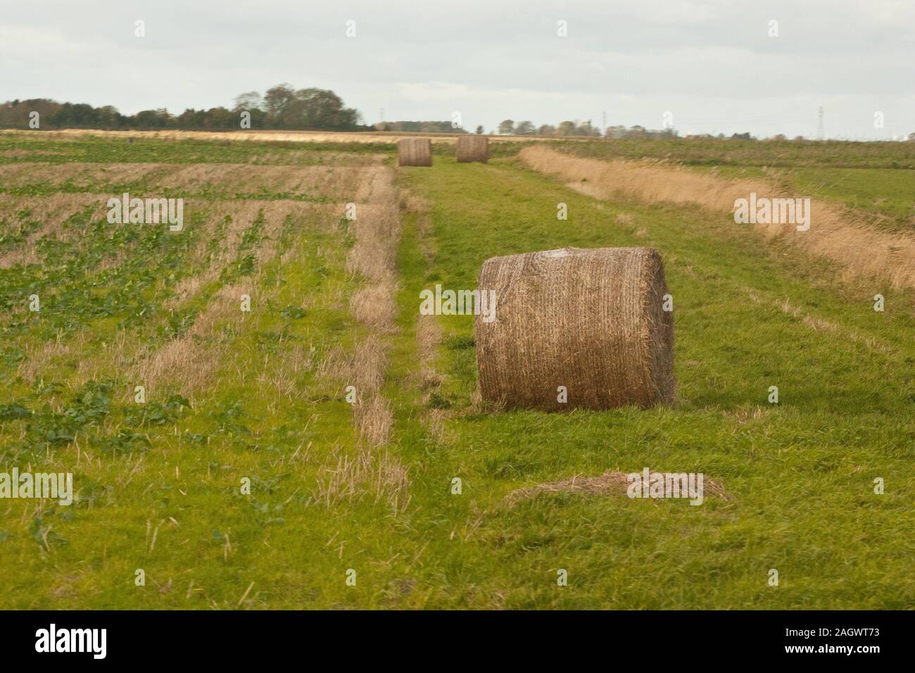 Food bails hi-res stock photography and images - Alamy