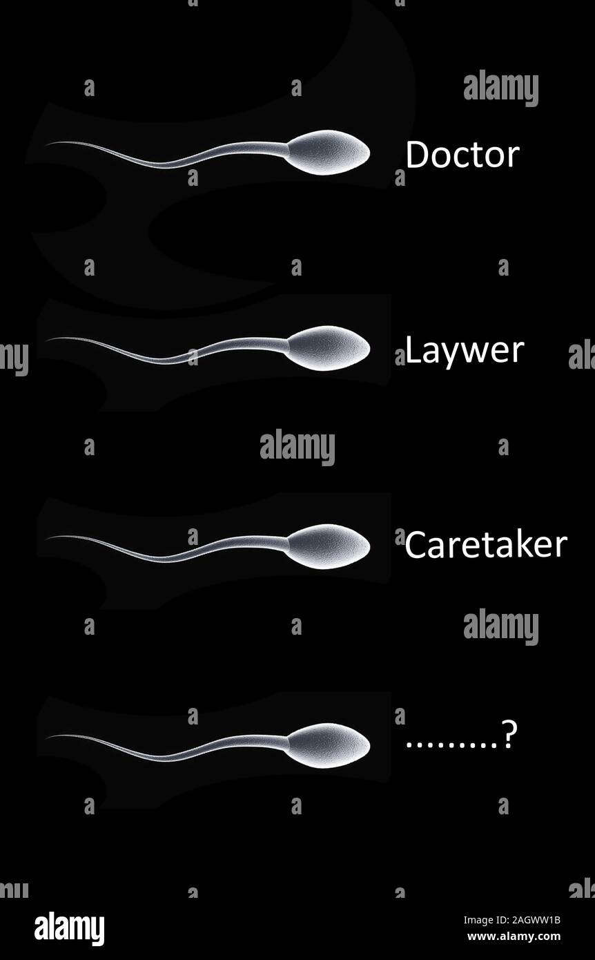 Antwort What Are The 4 Types Of Sperm Weitere Antworten What Is