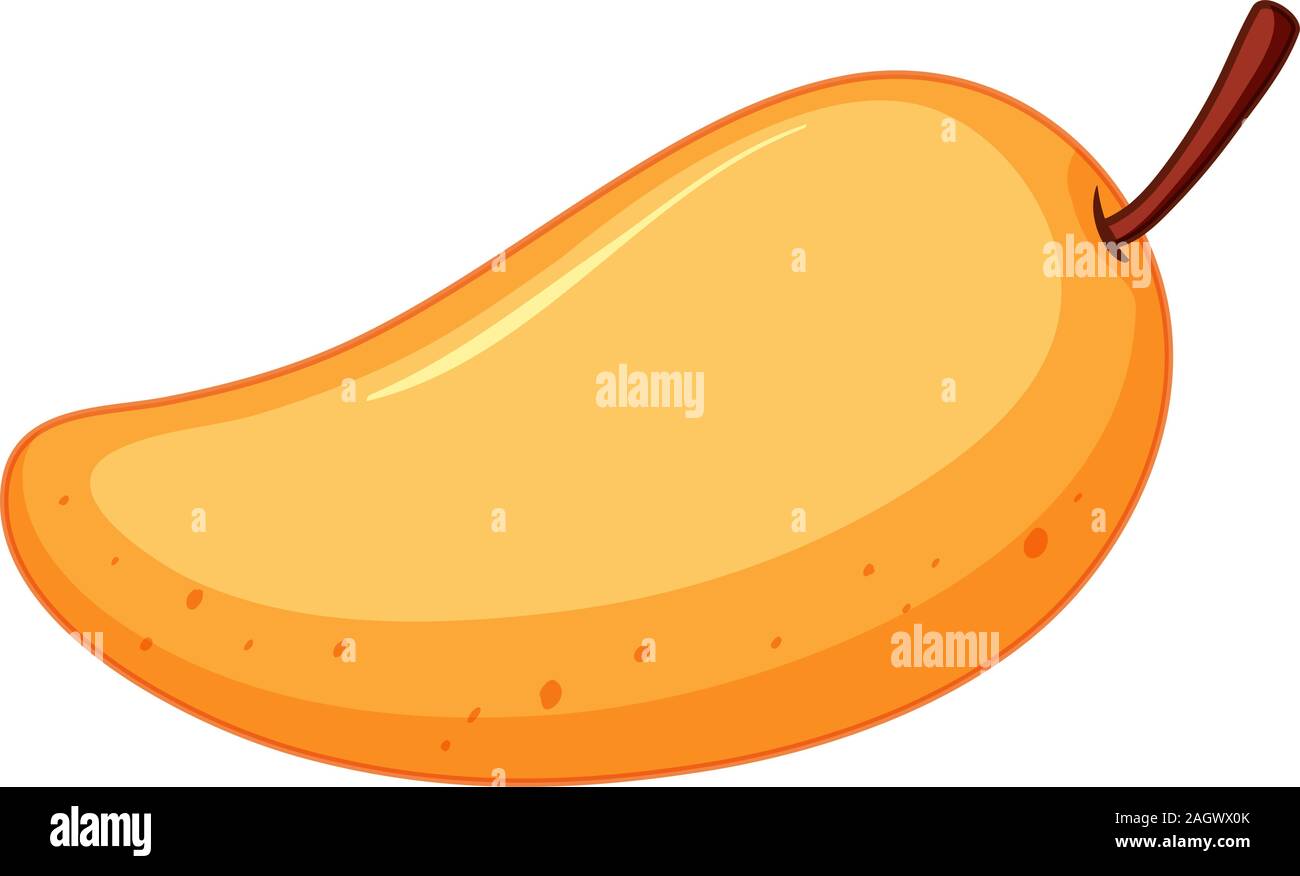 Yellow mango on white background illustration Stock Vector Image & Art ...
