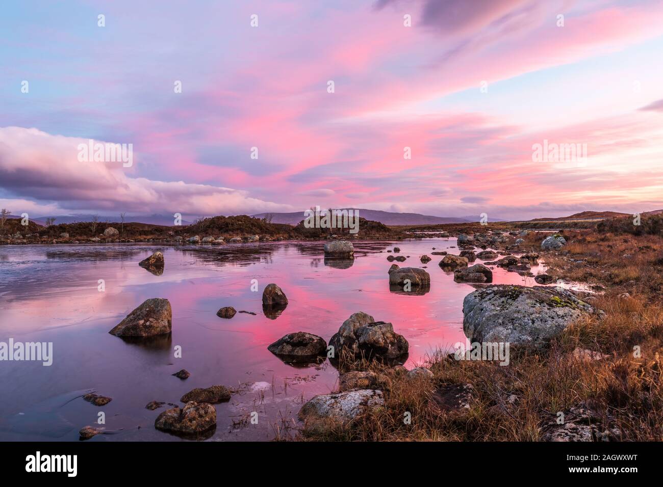 Shore beautiful pink lake sunset hi-res stock photography and images ...