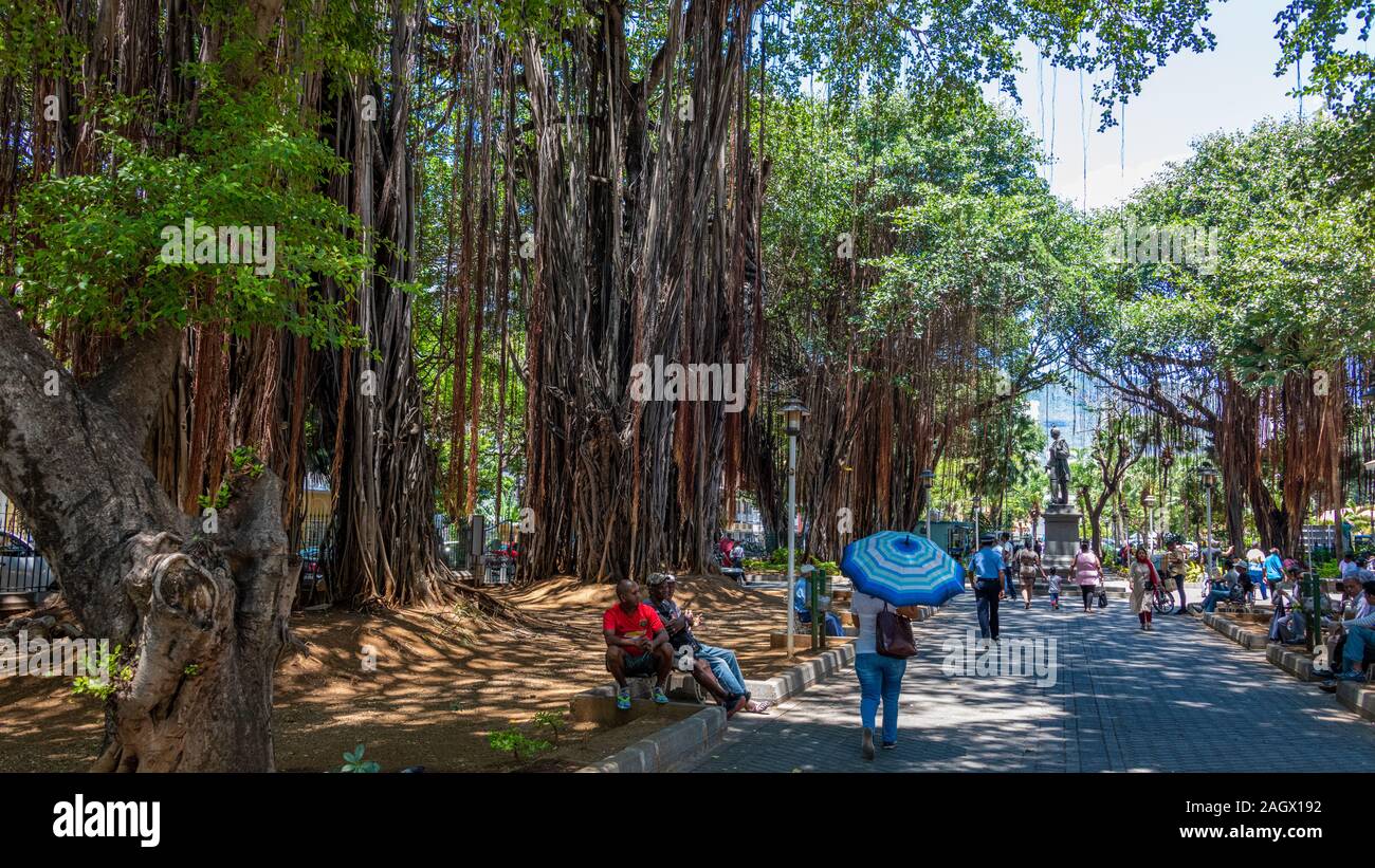People walking and Sitting in the Banyan Tree Shade, Port Louis Park ...