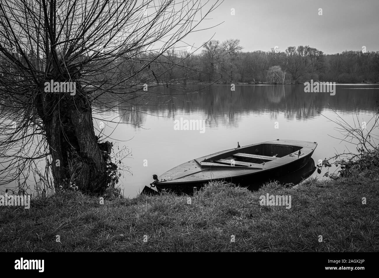 an abandoned rowing boat lies moored on the shore of a lake and next to ...