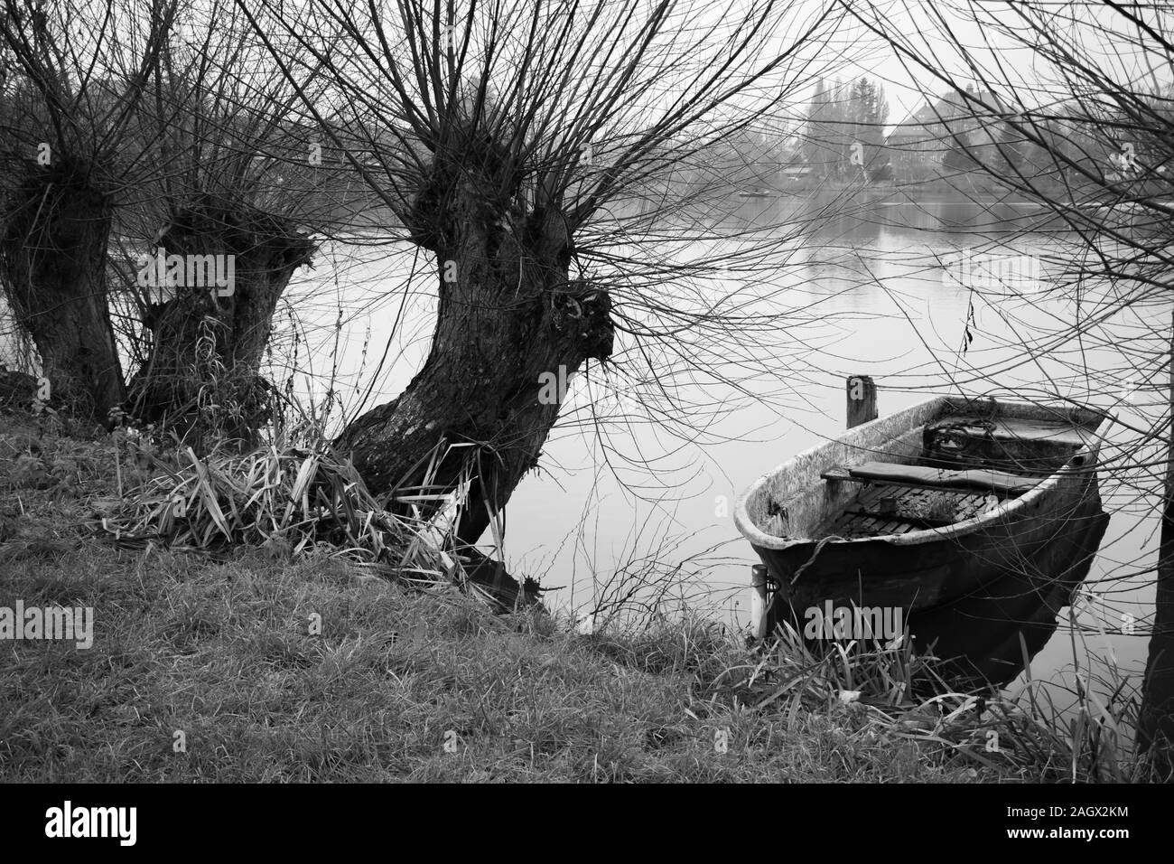 Rowing boat tied tree Black and White Stock Photos & Images - Alamy