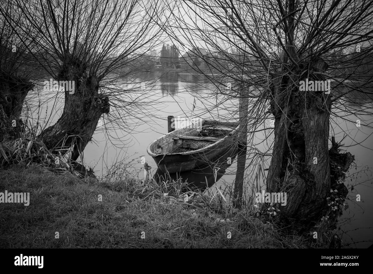 Rowing boat tied tree Black and White Stock Photos & Images - Alamy