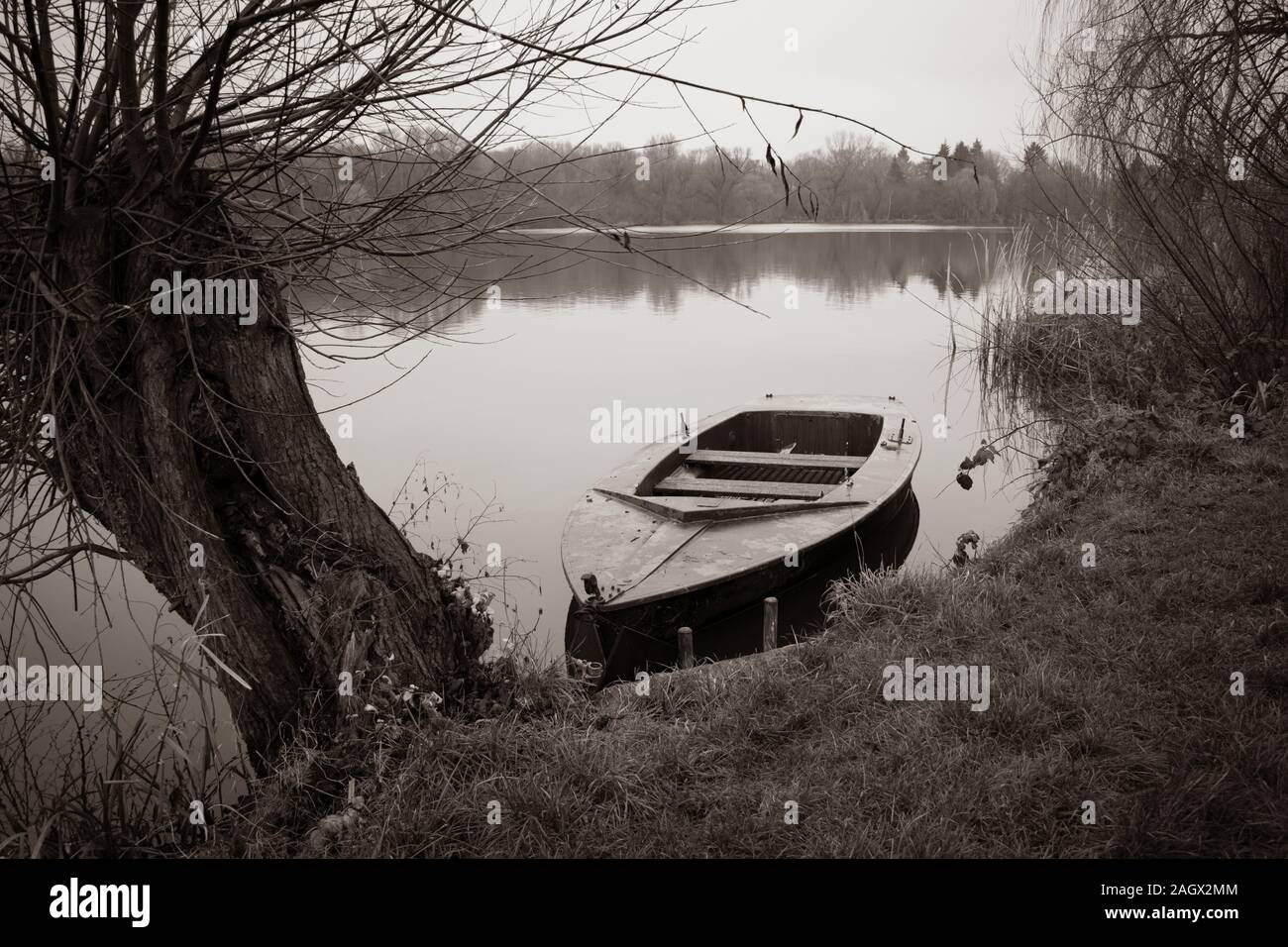 Boat Tied To A Tree High Resolution Stock Photography and Images - Alamy