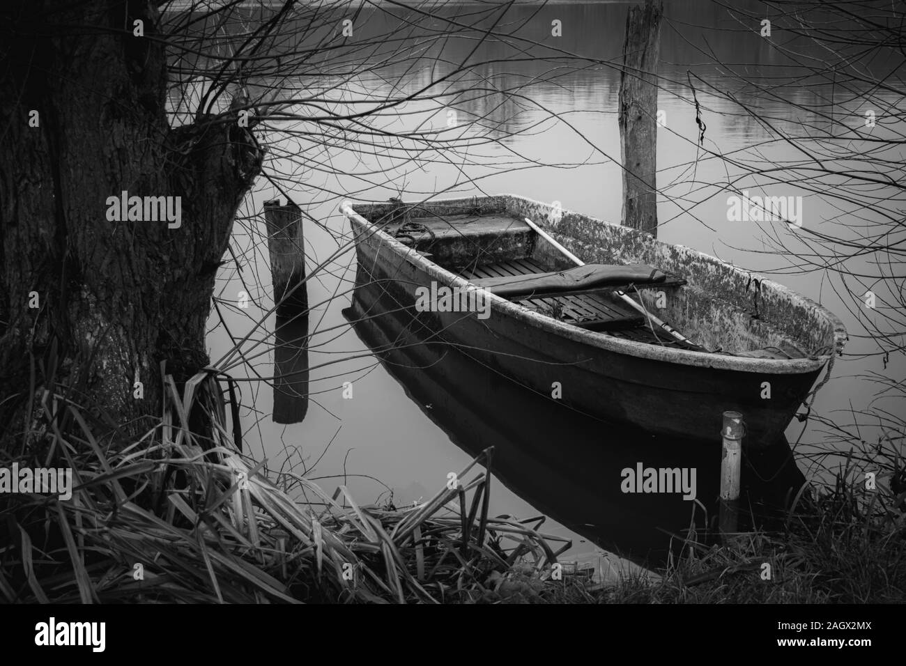 Boat Tied To Tree High Resolution Stock Photography and Images - Alamy
