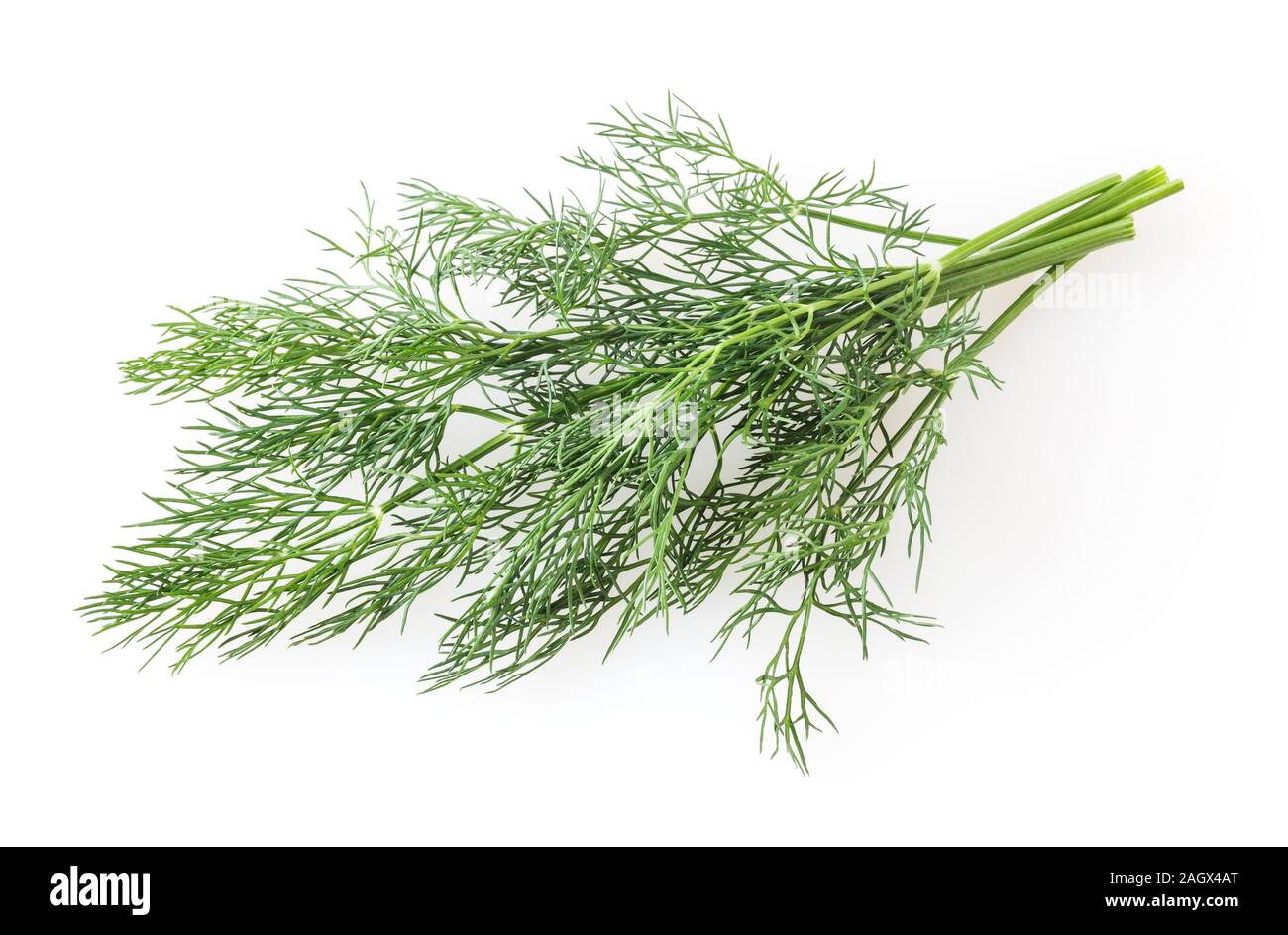 Fresh dill sprig isolated on white background Stock Photo - Alamy