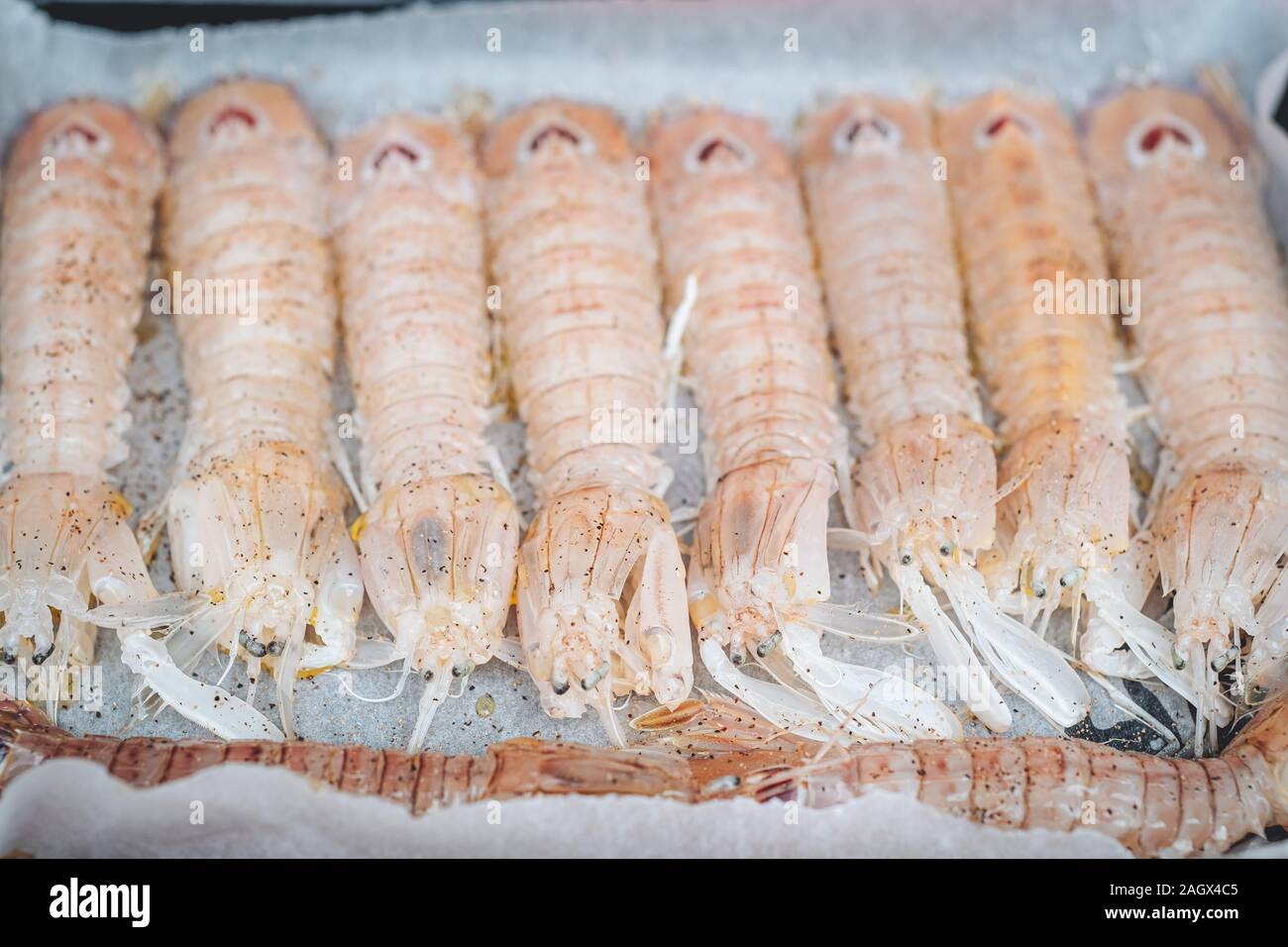 Delicious fresh Mantis Shrimps from the adriatic sea in Puglia, Italy ...