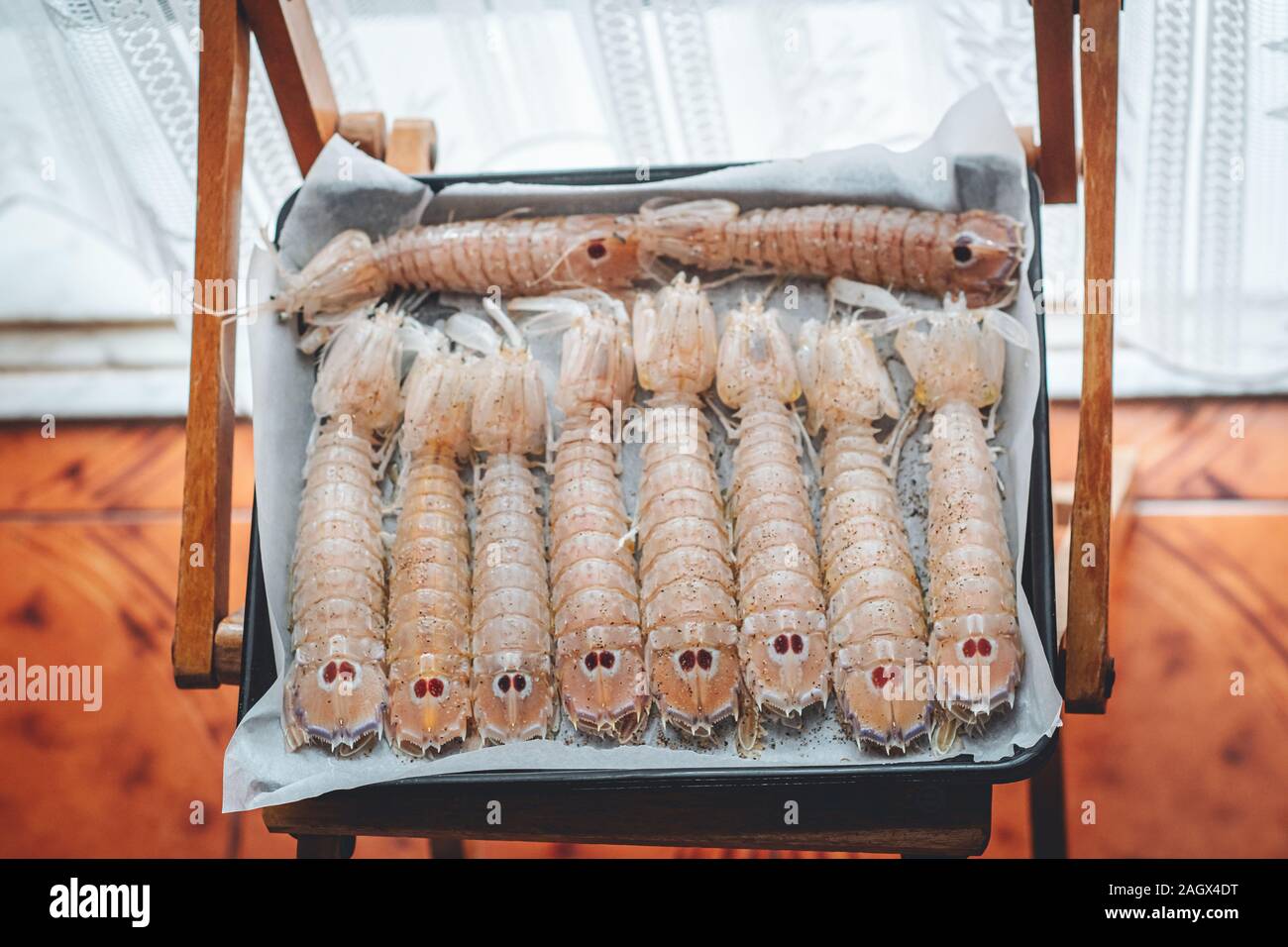 Mantis shrimps hi-res stock photography and images - Alamy