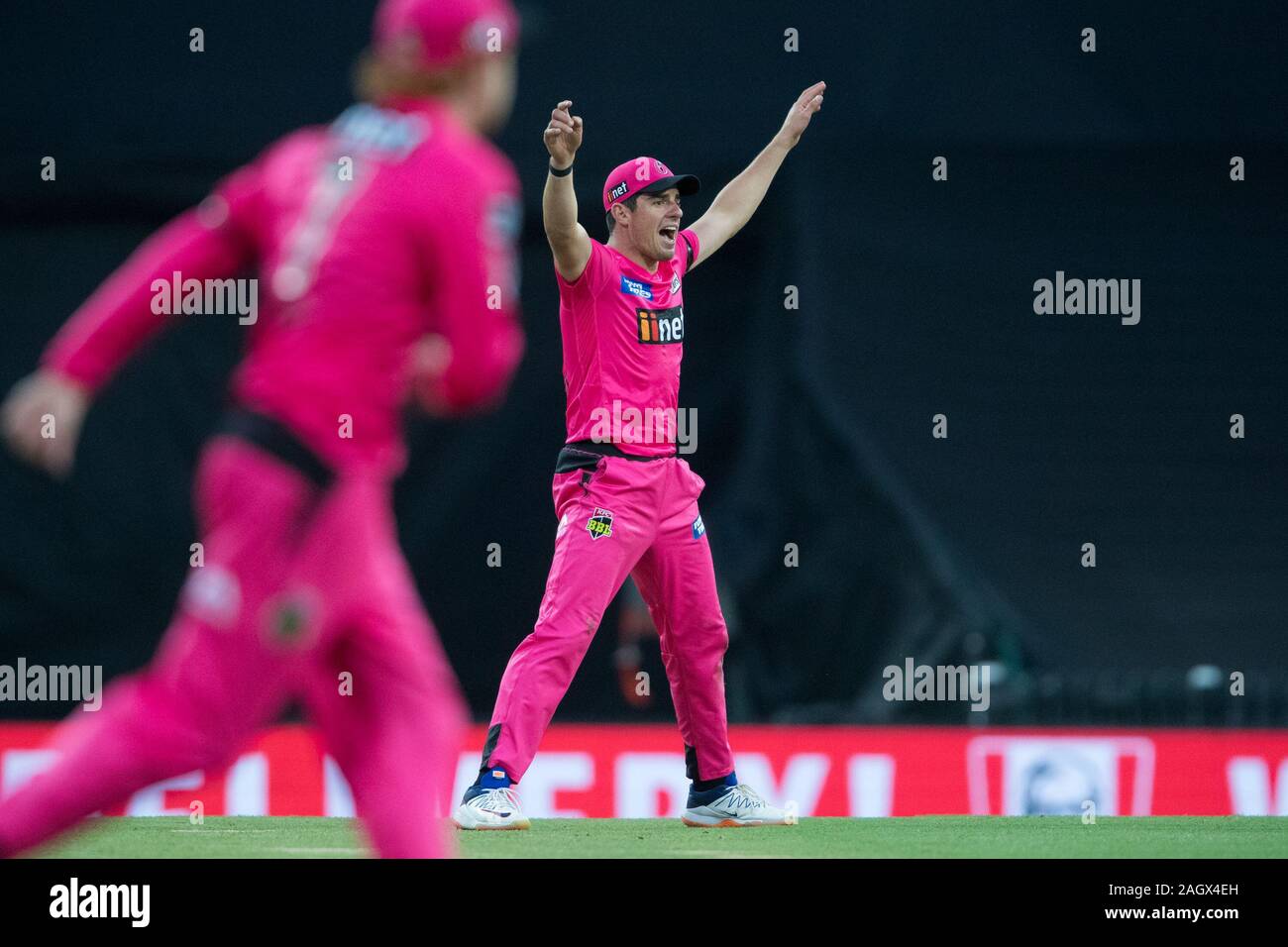 Cricket player moises henriques hi-res stock photography and images - Alamy