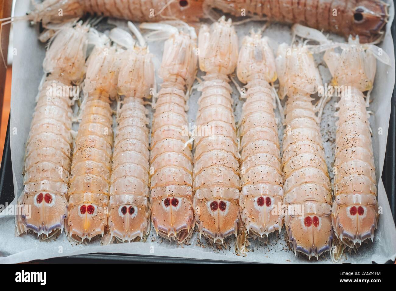 Delicious fresh Mantis Shrimps from the adriatic sea in Puglia, Italy ...