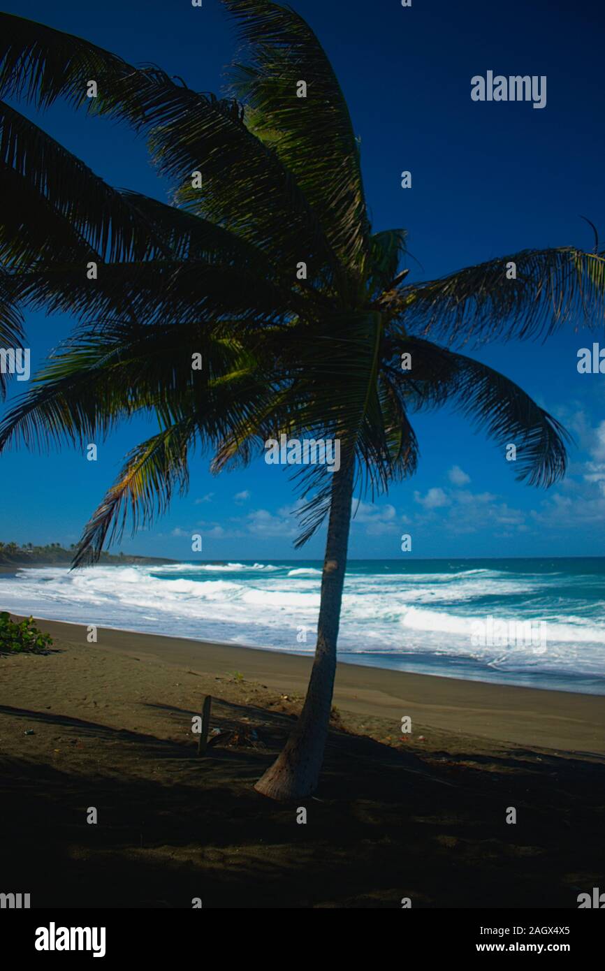 Arecibo hi-res stock photography and images - Alamy