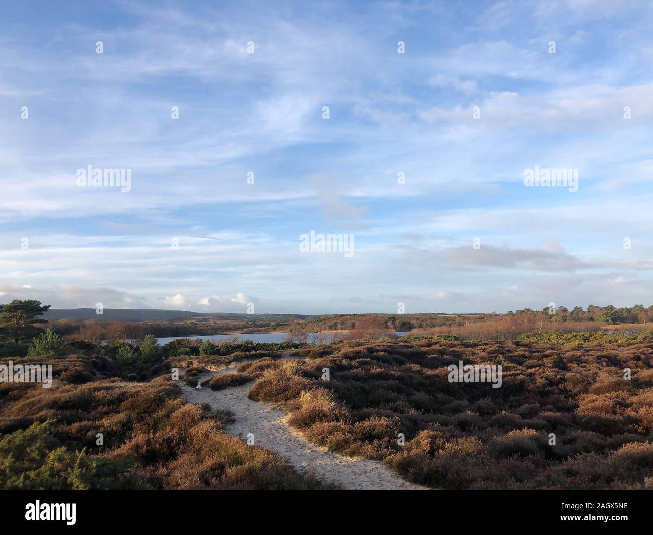 Suzanne reed hi-res stock photography and images - Alamy