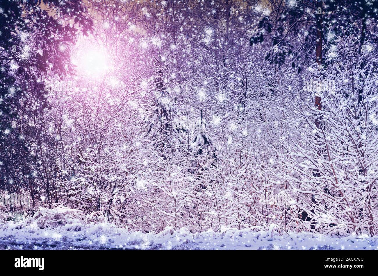 The sun and falling snow hi-res stock photography and images - Alamy