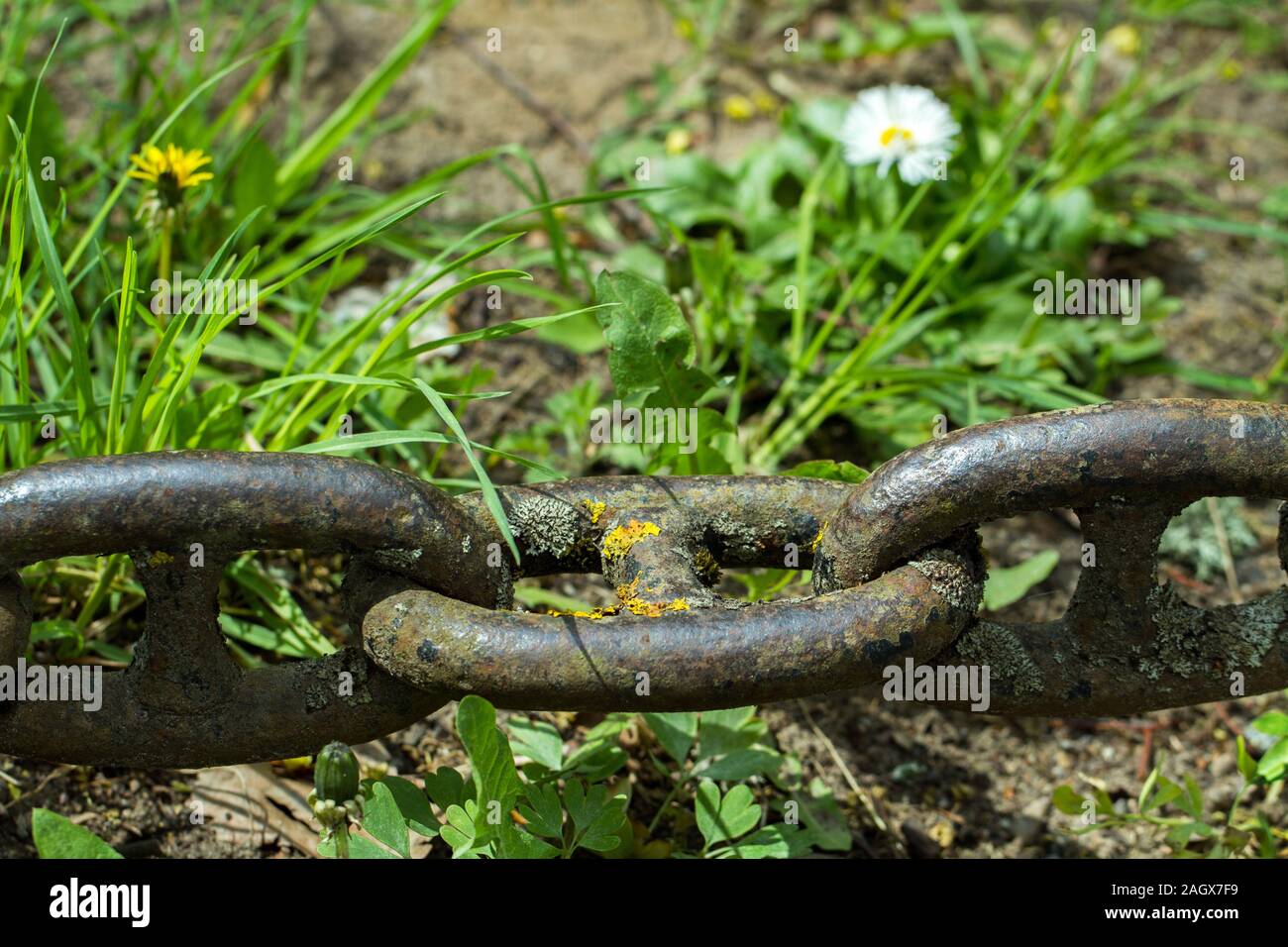 Heavy old chain in nature Stock Photo - Alamy