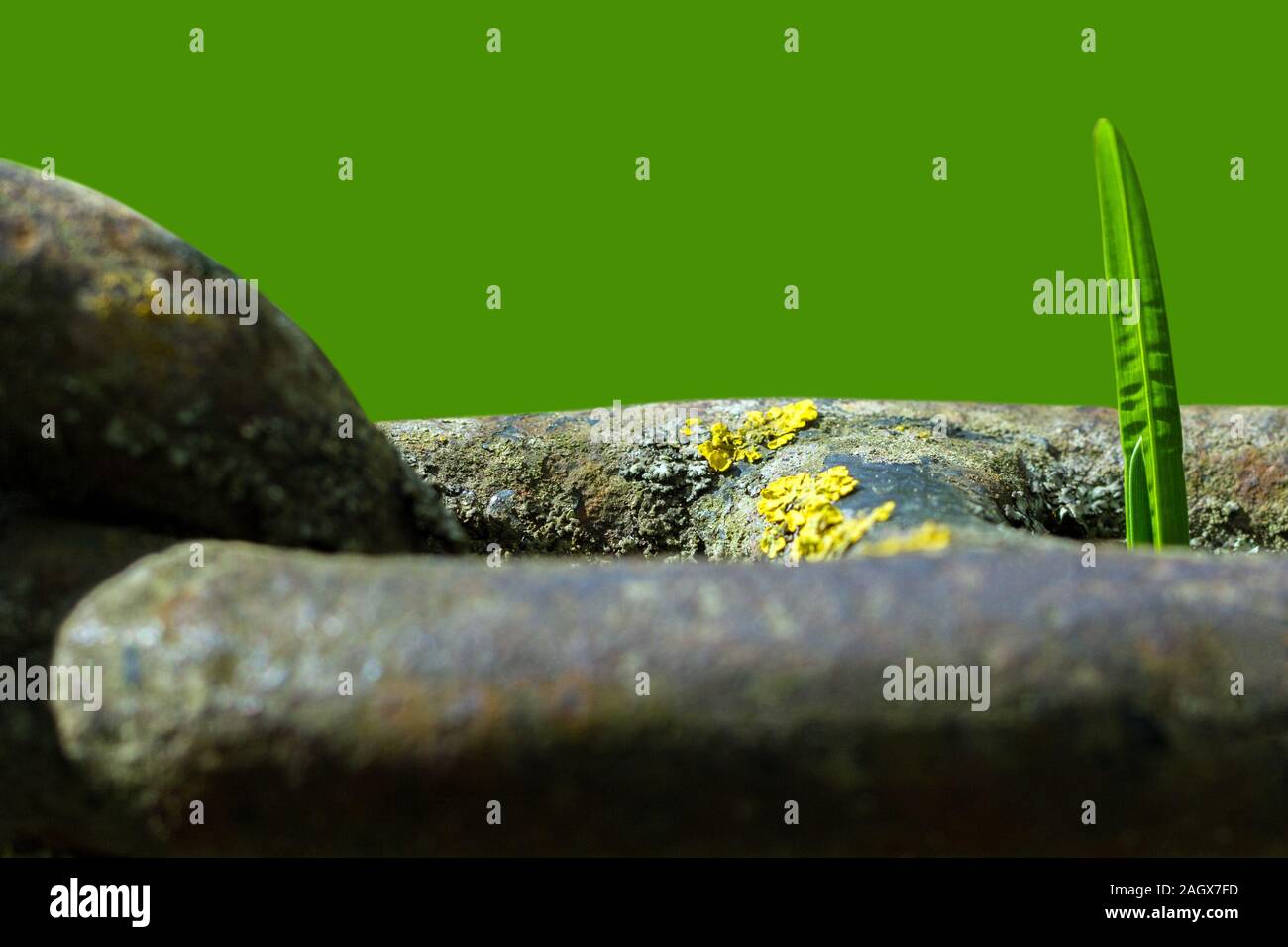 Heavy old chain in nature Stock Photo - Alamy