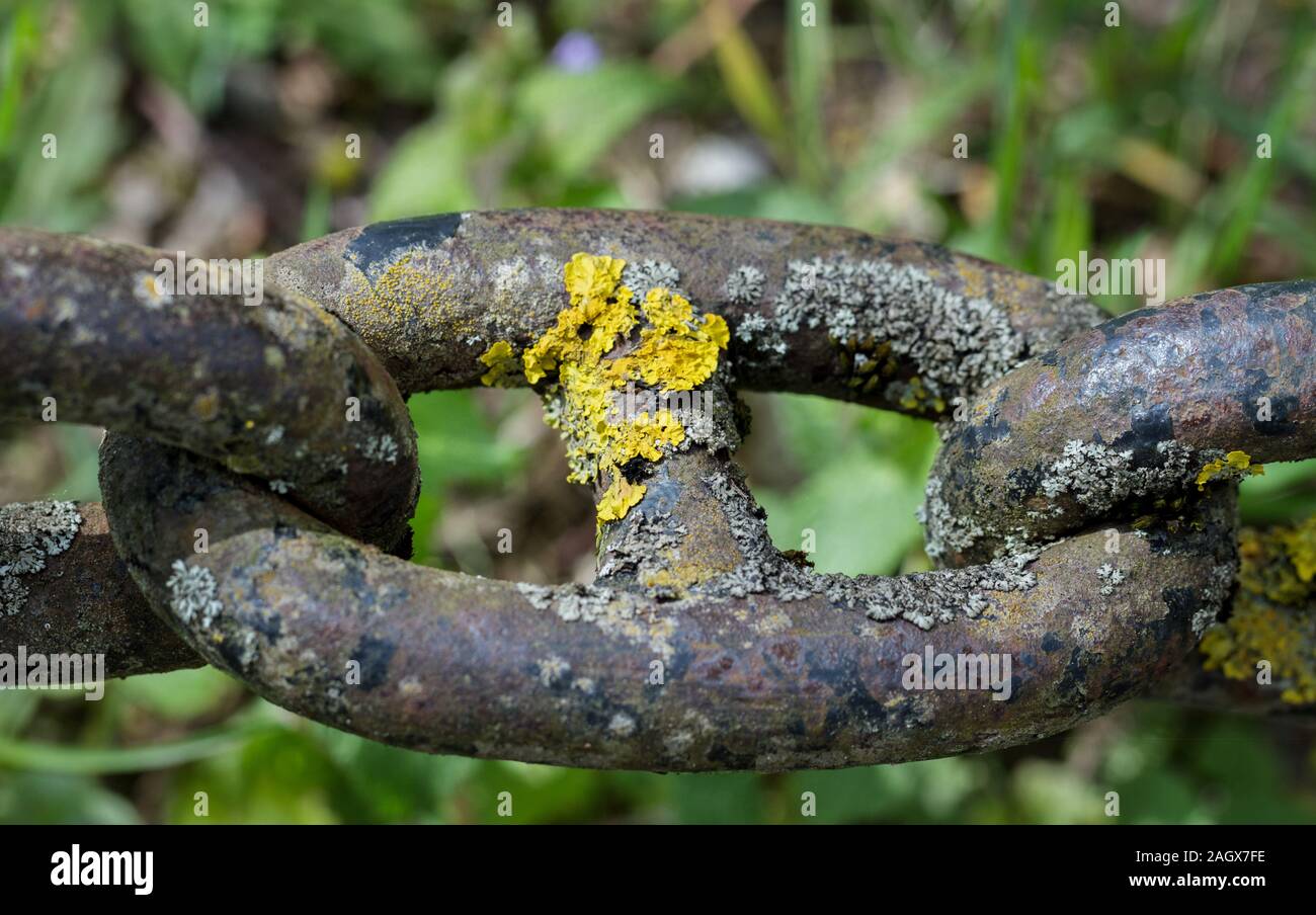 Heavy old chain in nature Stock Photo - Alamy