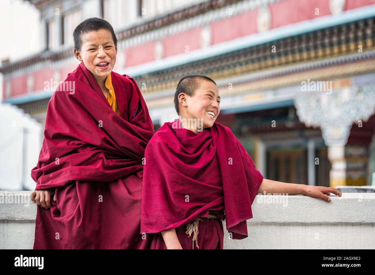 Tibetan monks ghoom hi-res stock photography and images - Alamy