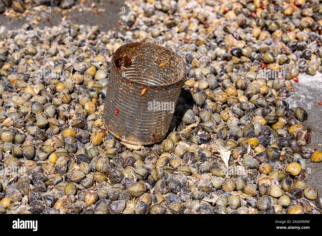 Freshly cooked snails and cockles on stall outside Phsar Chas Old ...