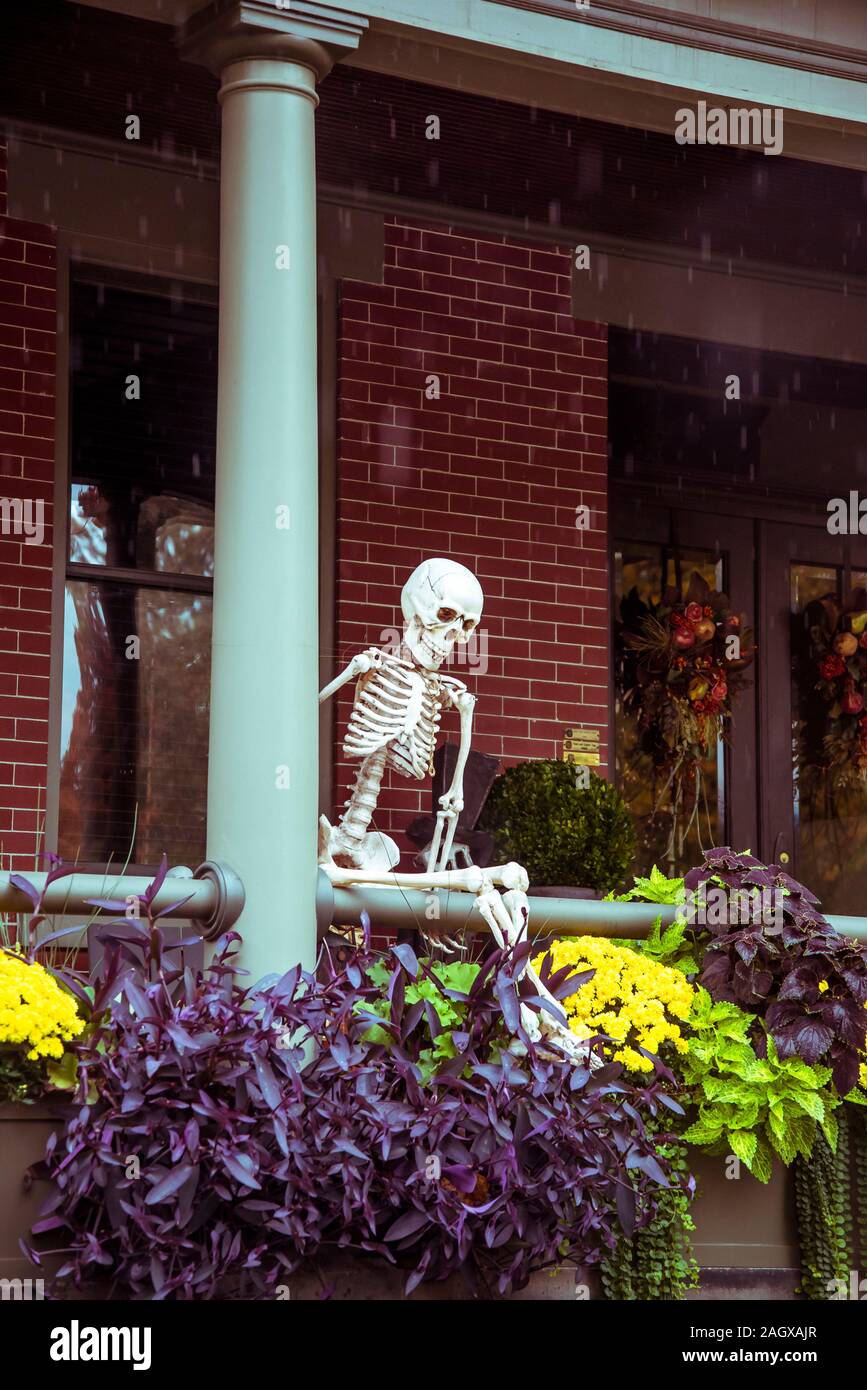 Halloween skeleton on a veranda of a Traditional residential house in ...