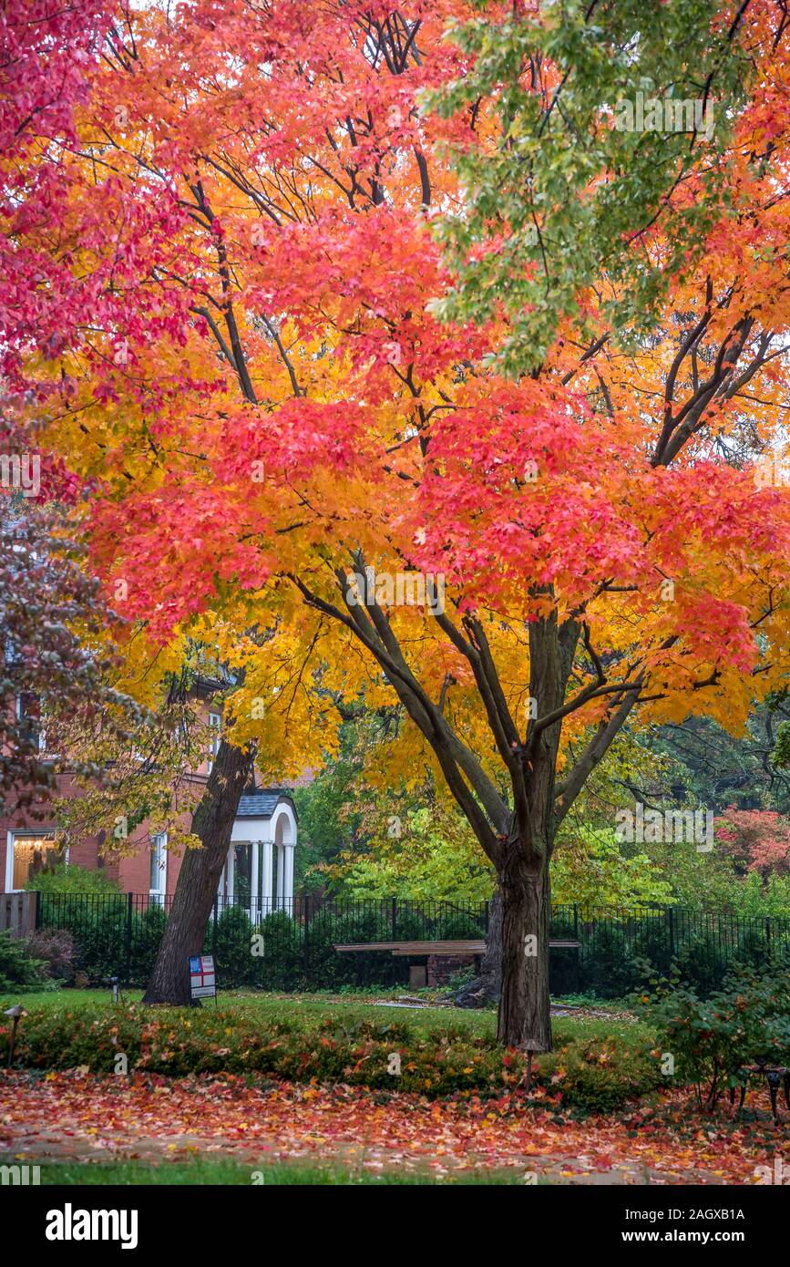 Colorful chicago neighborhood hi-res stock photography and images - Alamy