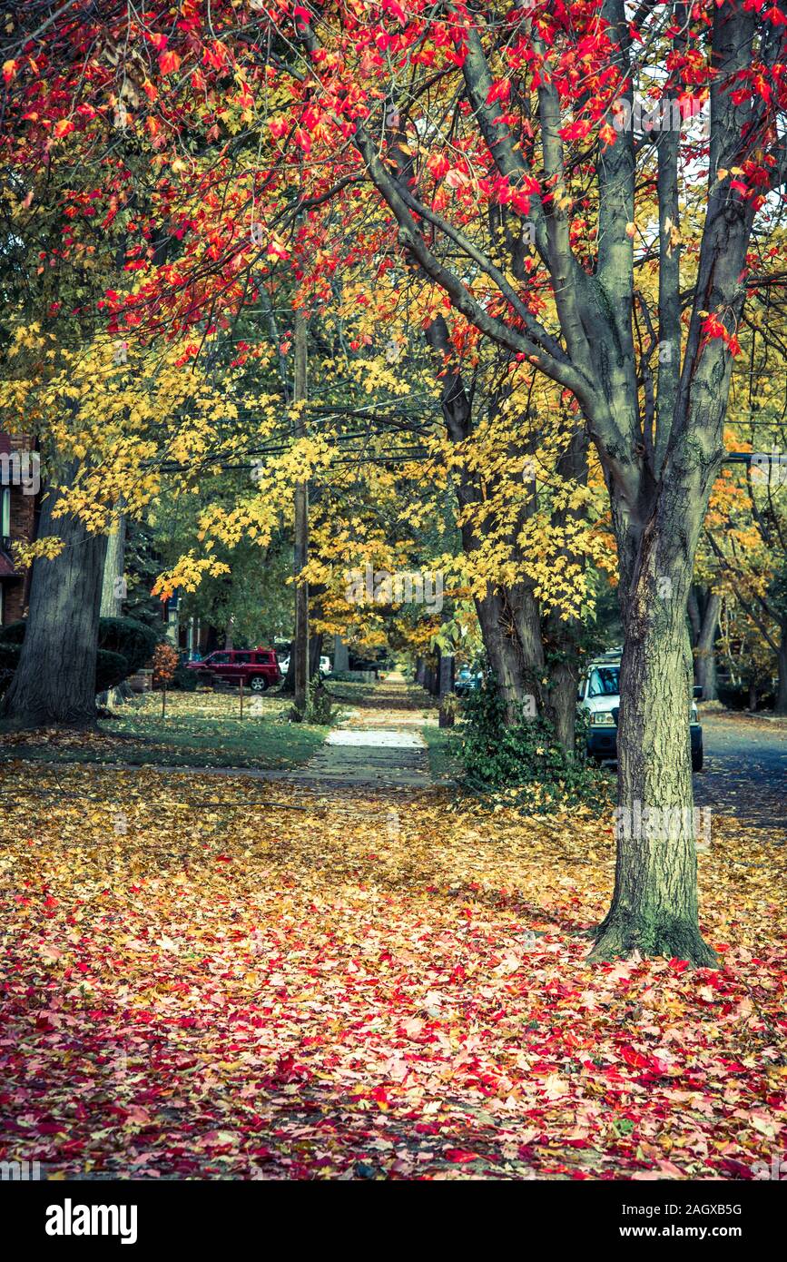 Deserted suburban street autumn usa hi-res stock photography and images ...