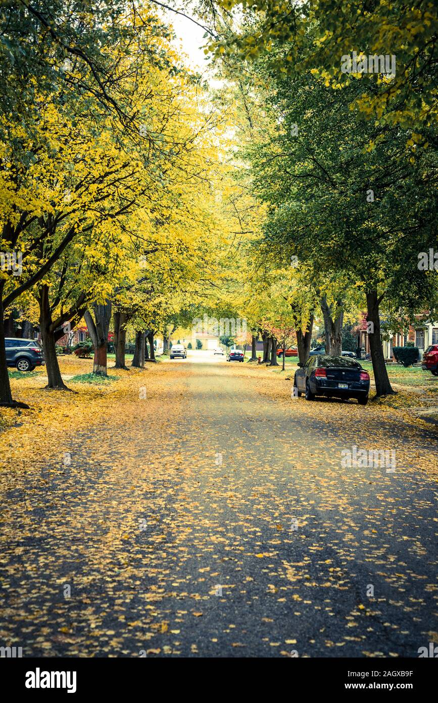 Deserted suburban street autumn usa hi-res stock photography and images ...