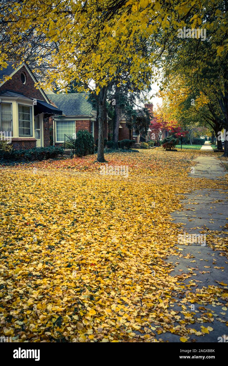 Deserted suburban street autumn usa hi-res stock photography and images ...