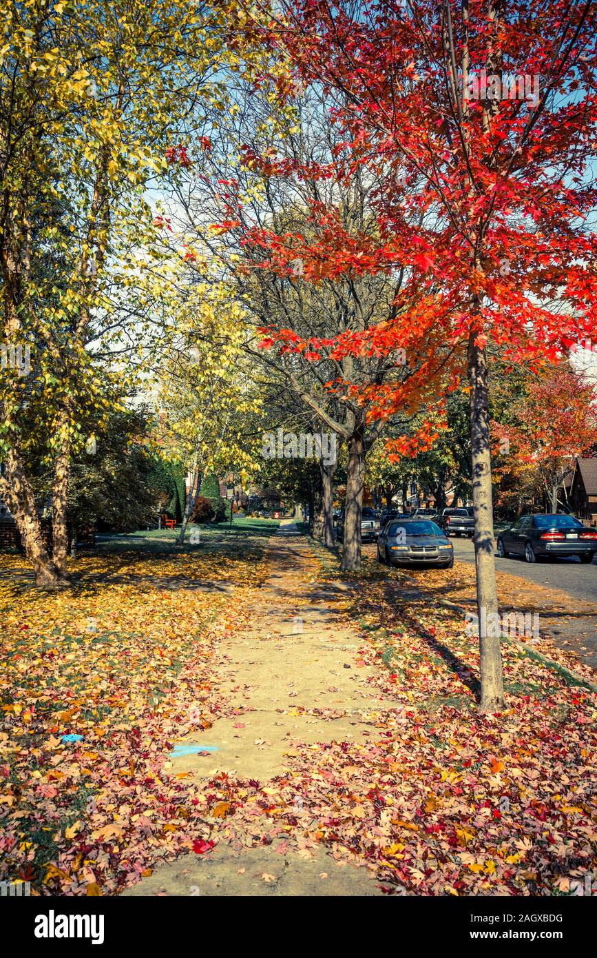 Deserted suburban street autumn usa hi-res stock photography and images ...