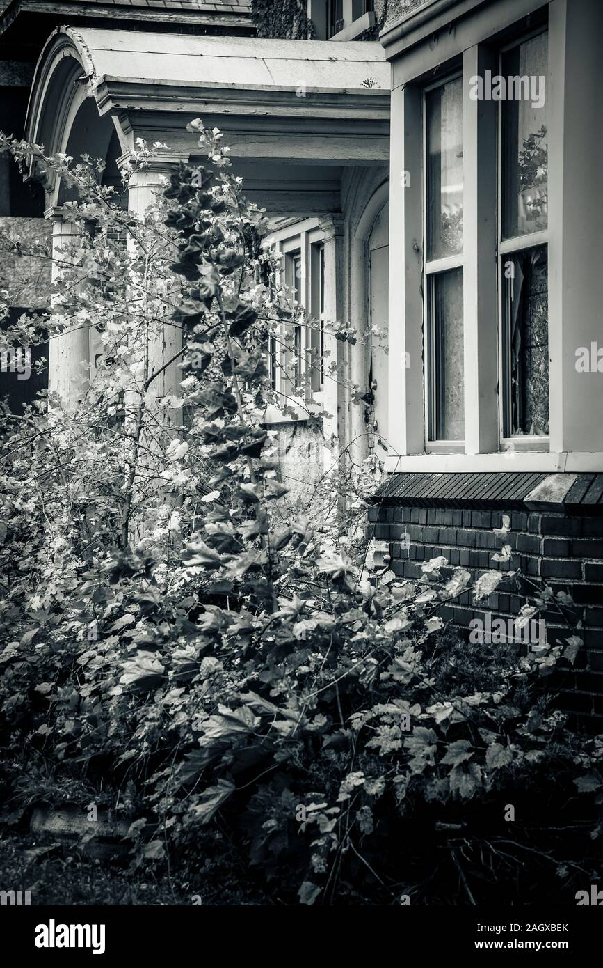 Derelict house, Detroit, Michigan, USA Stock Photo - Alamy