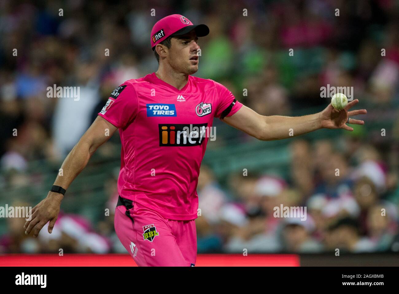 Cricket player moises henriques hi-res stock photography and images - Alamy