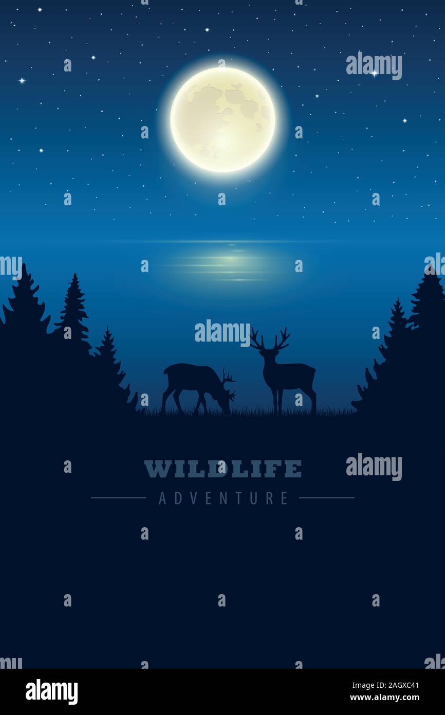 wildlife elk in the wilderness by the lake with full moon in a starry ...