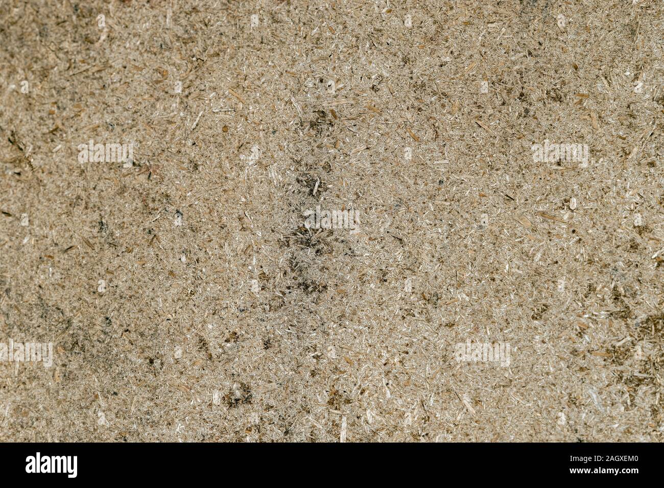 The weathered old particle board surface with stains is affected ...