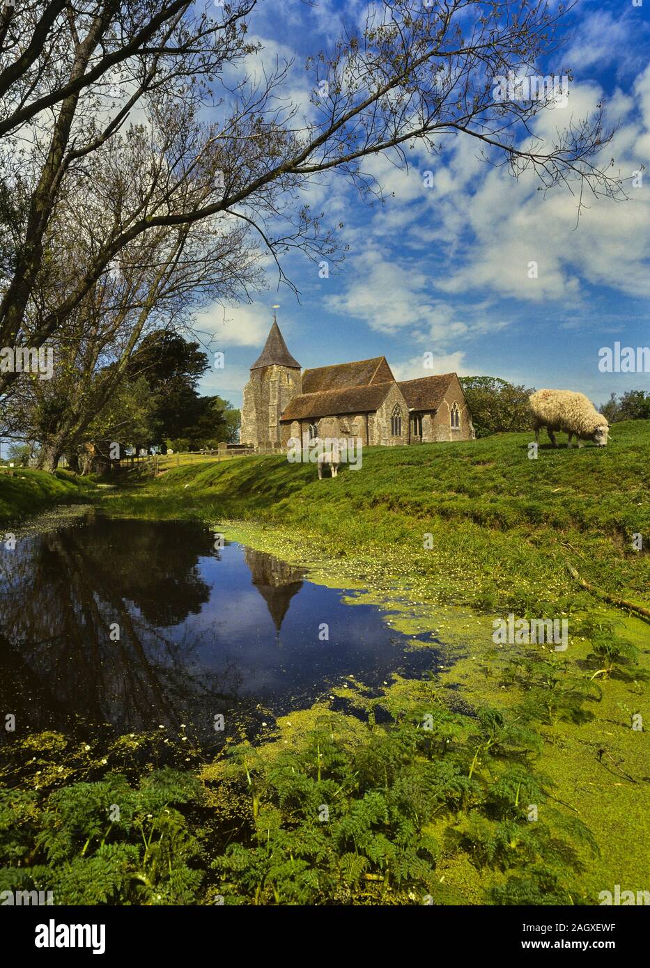 Derek jarman is buried in the churchyard hi-res stock photography and ...