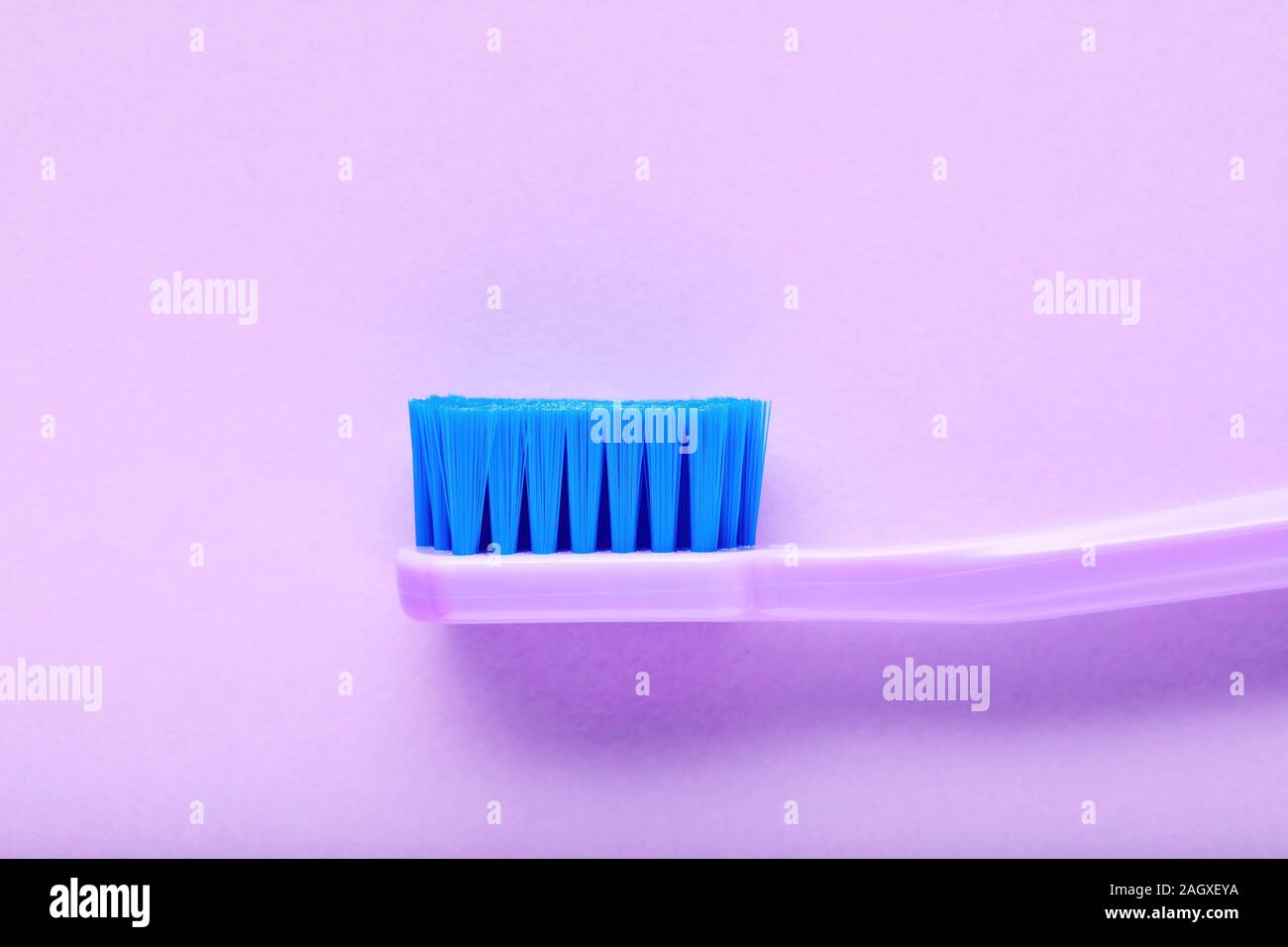 Close up side view of a new purple toothbrush on purple background ...