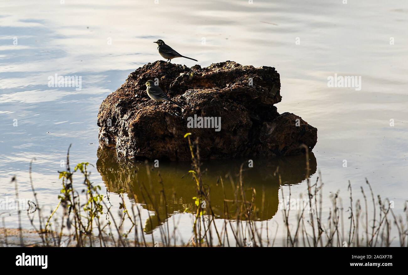 English floods 2019 hi-res stock photography and images - Alamy