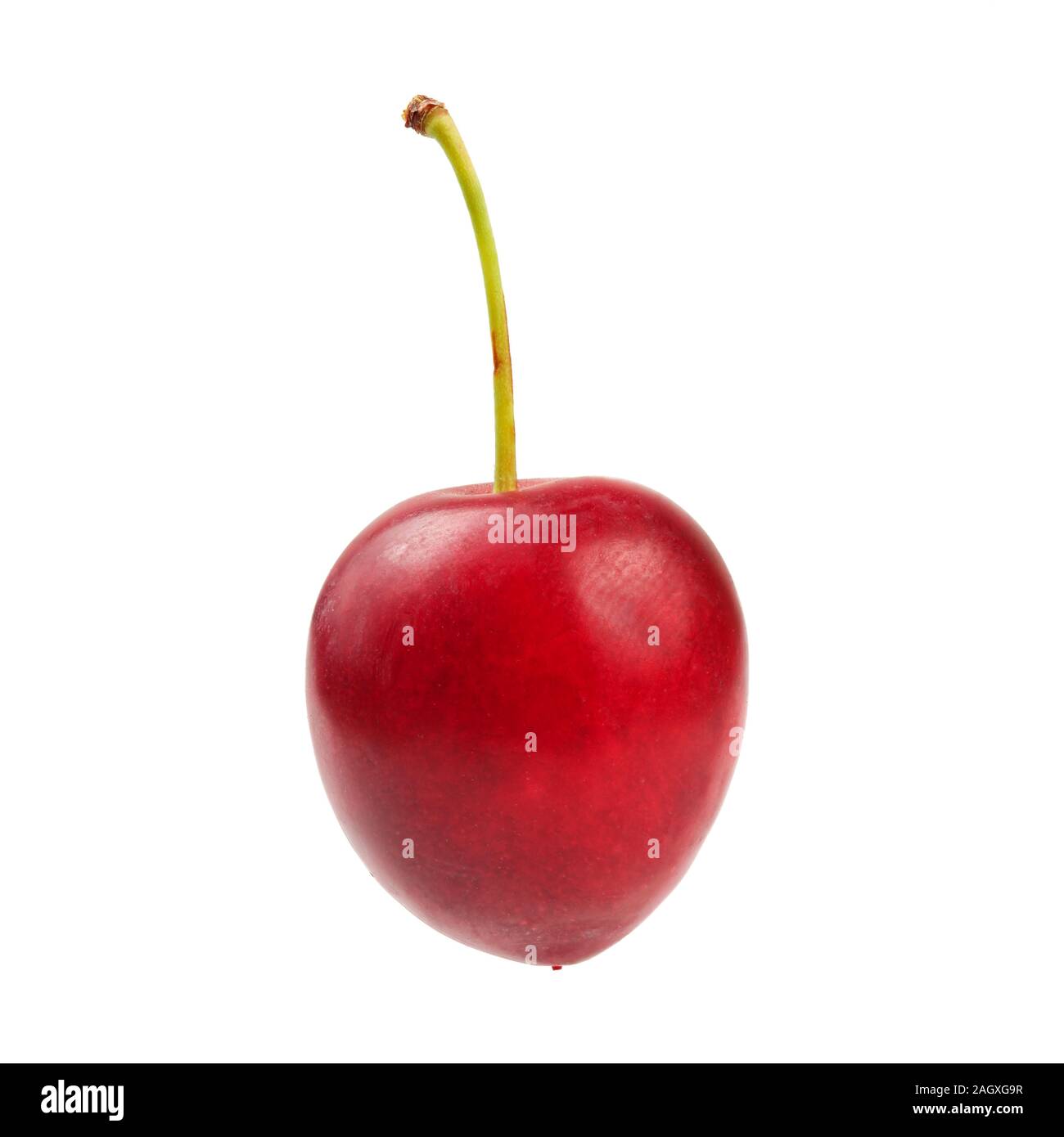 Mirabelle prune prunus domestica hi-res stock photography and images ...