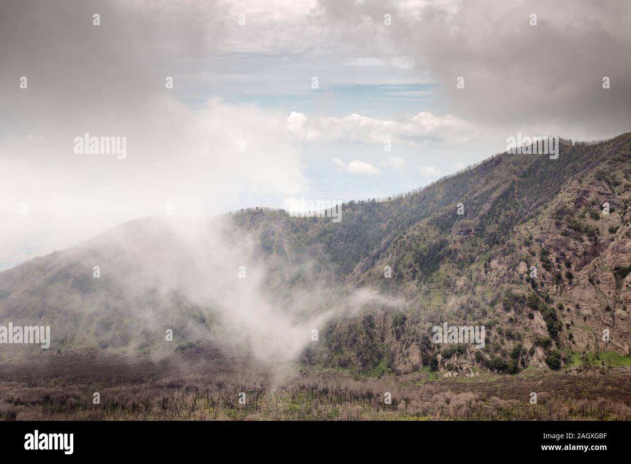 the mountainside around the famous volcano in italy mount vesuvius ...