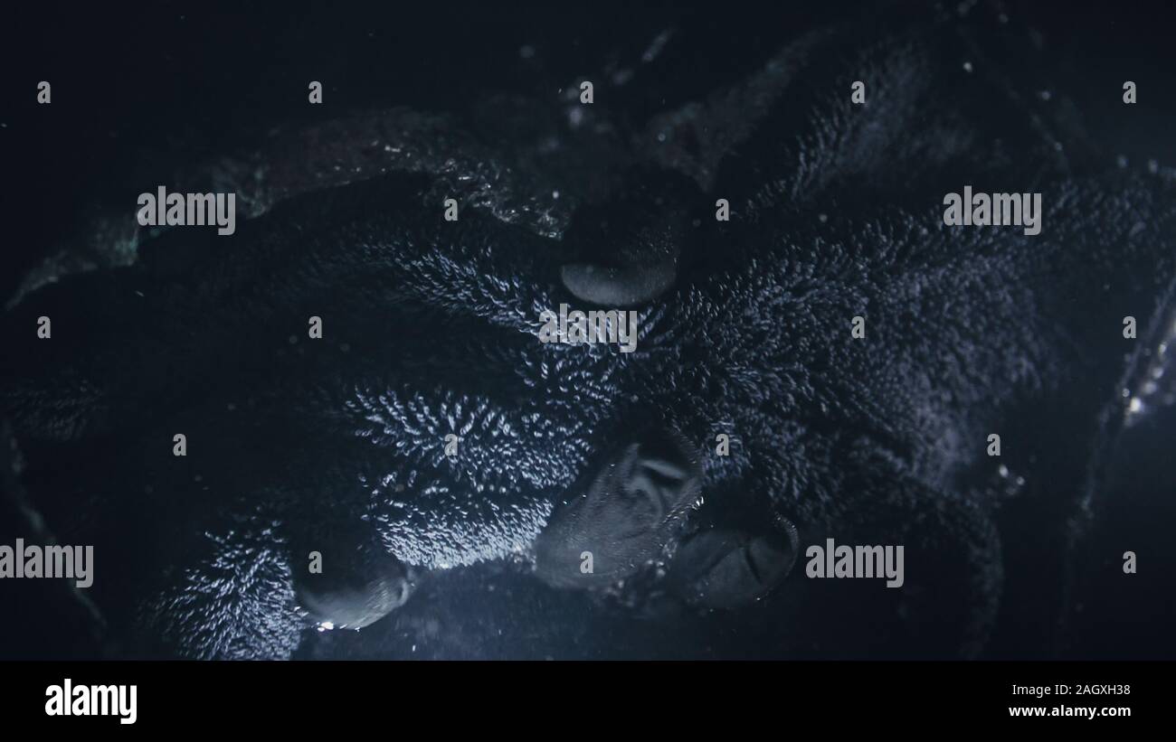 Cloth under tap hi-res stock photography and images - Alamy