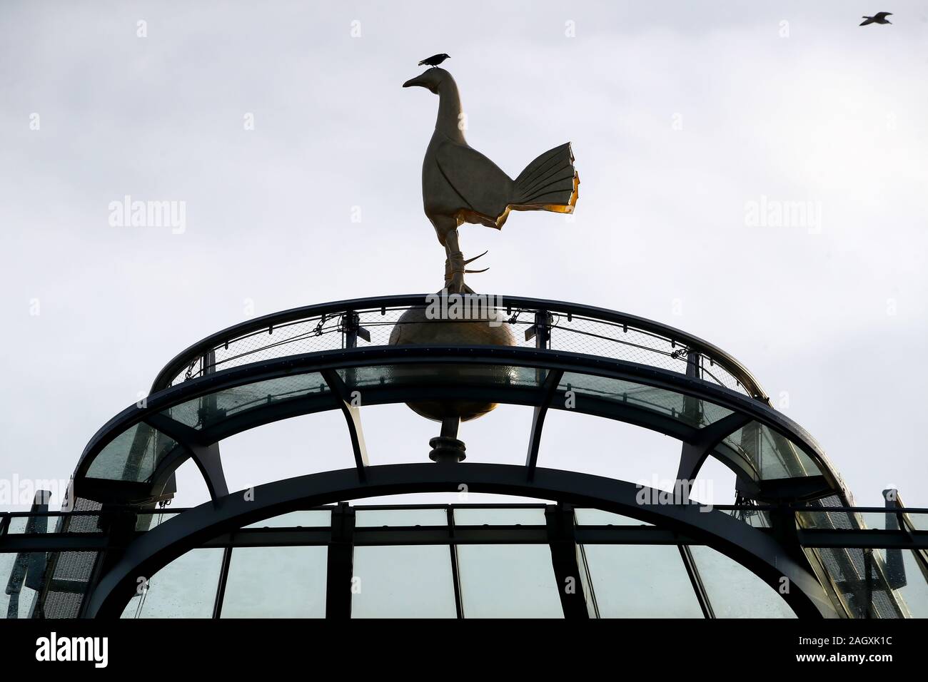 A bird rests on top of the Tottenham Hotspur crest ahead of the Premier ...