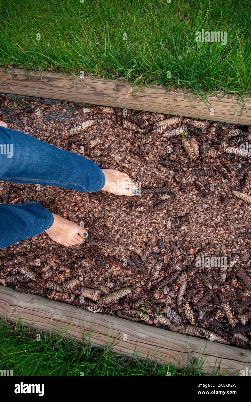 Barefoot path hi-res stock photography and images - Alamy