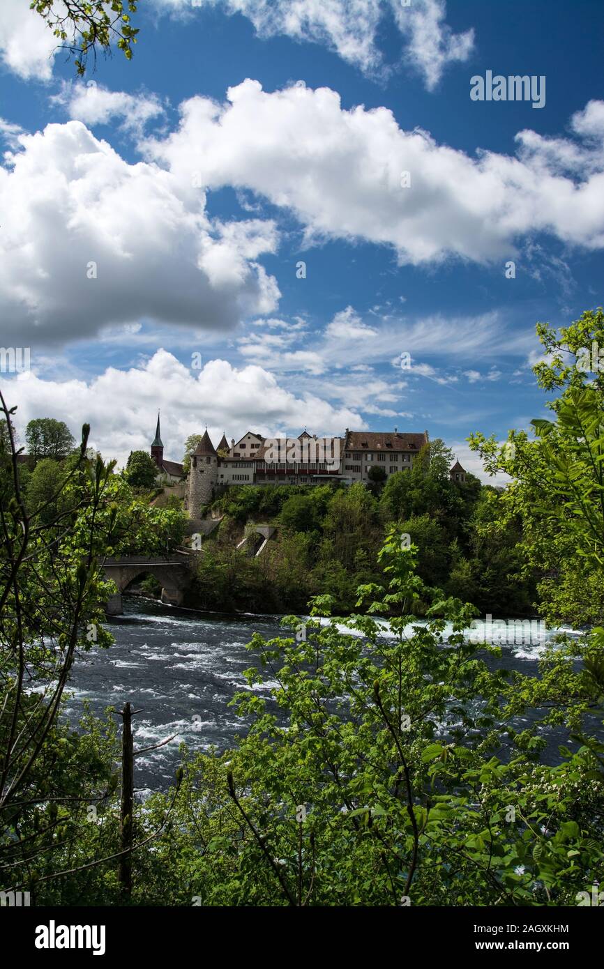 Laufen Castle is a palace at the Rhine overlooking the Rhine and the ...