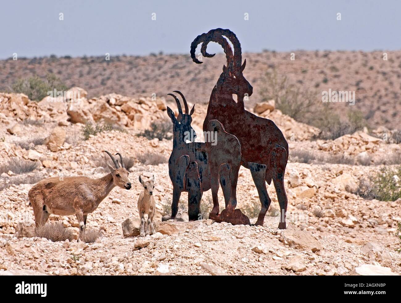 Ibex statue hi-res stock photography and images - Alamy
