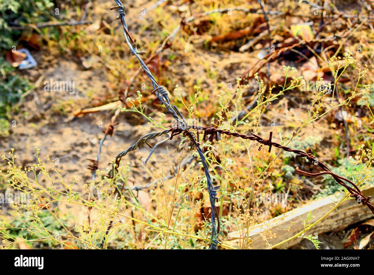 cross shape of border wires Stock Photo - Alamy