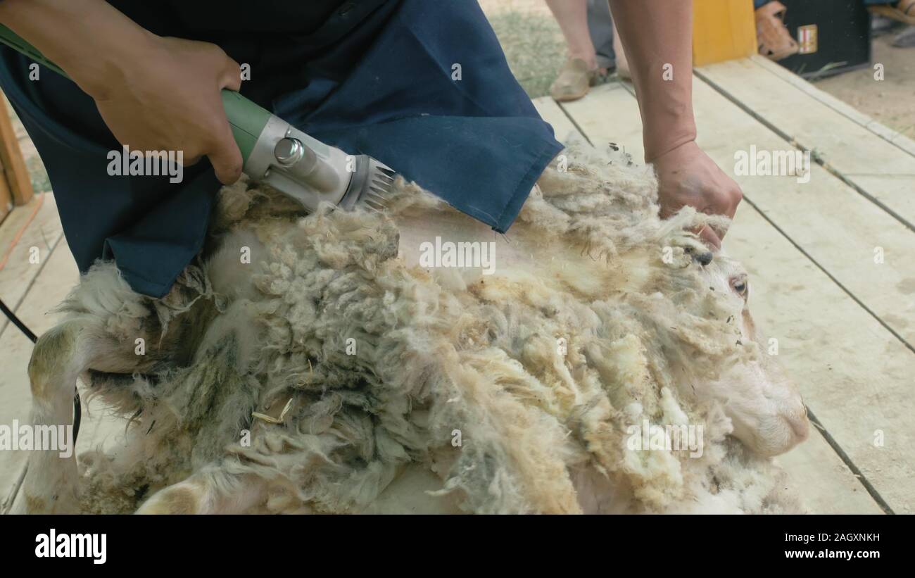 Shear outback hi-res stock photography and images - Alamy