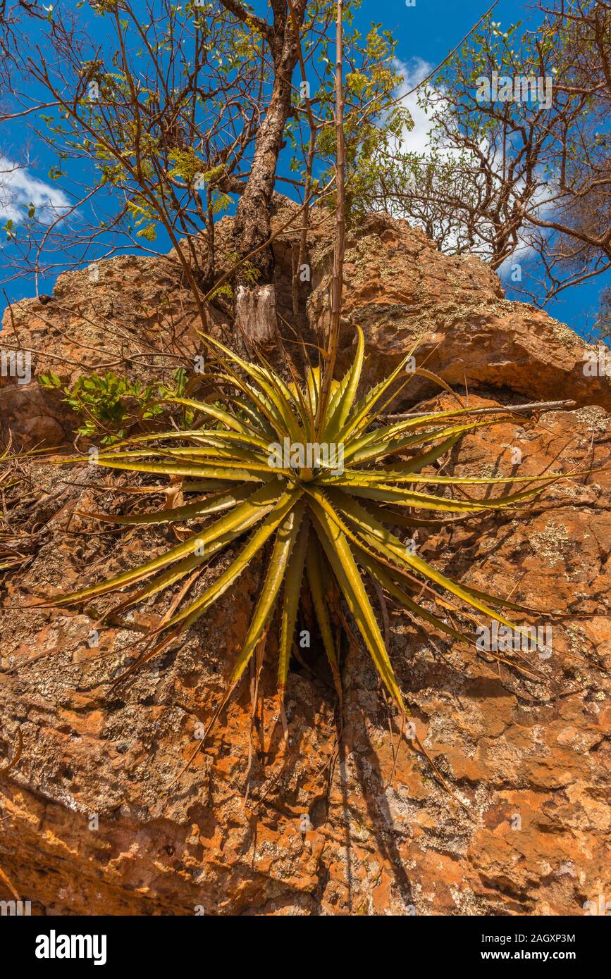 In the Mountains around San José de Chiquitos, Jesuit Mission Circuit ...