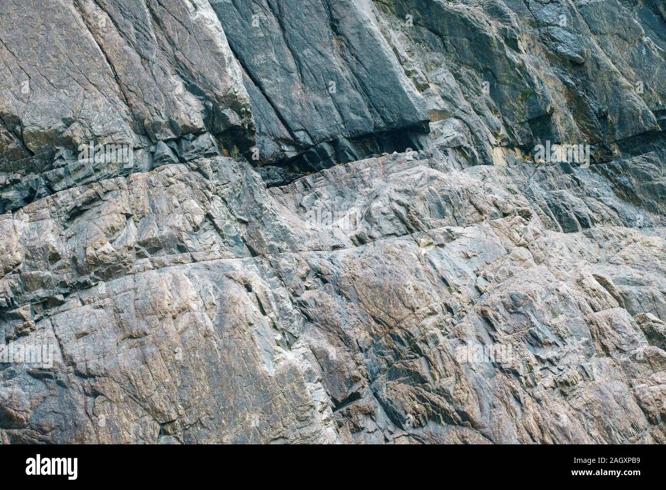 Rock texture background. Closeup of a sedimentary mountain limestone ...