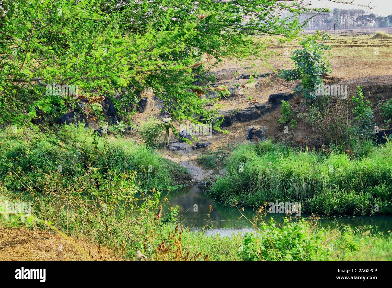 rural green landscape view Stock Photo - Alamy