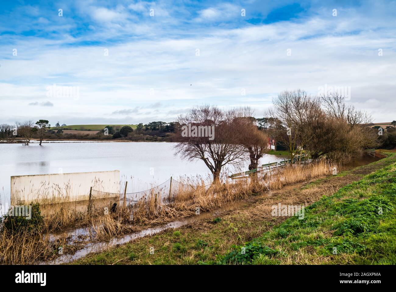 The river Otter estuary in flood Stock Photo - Alamy