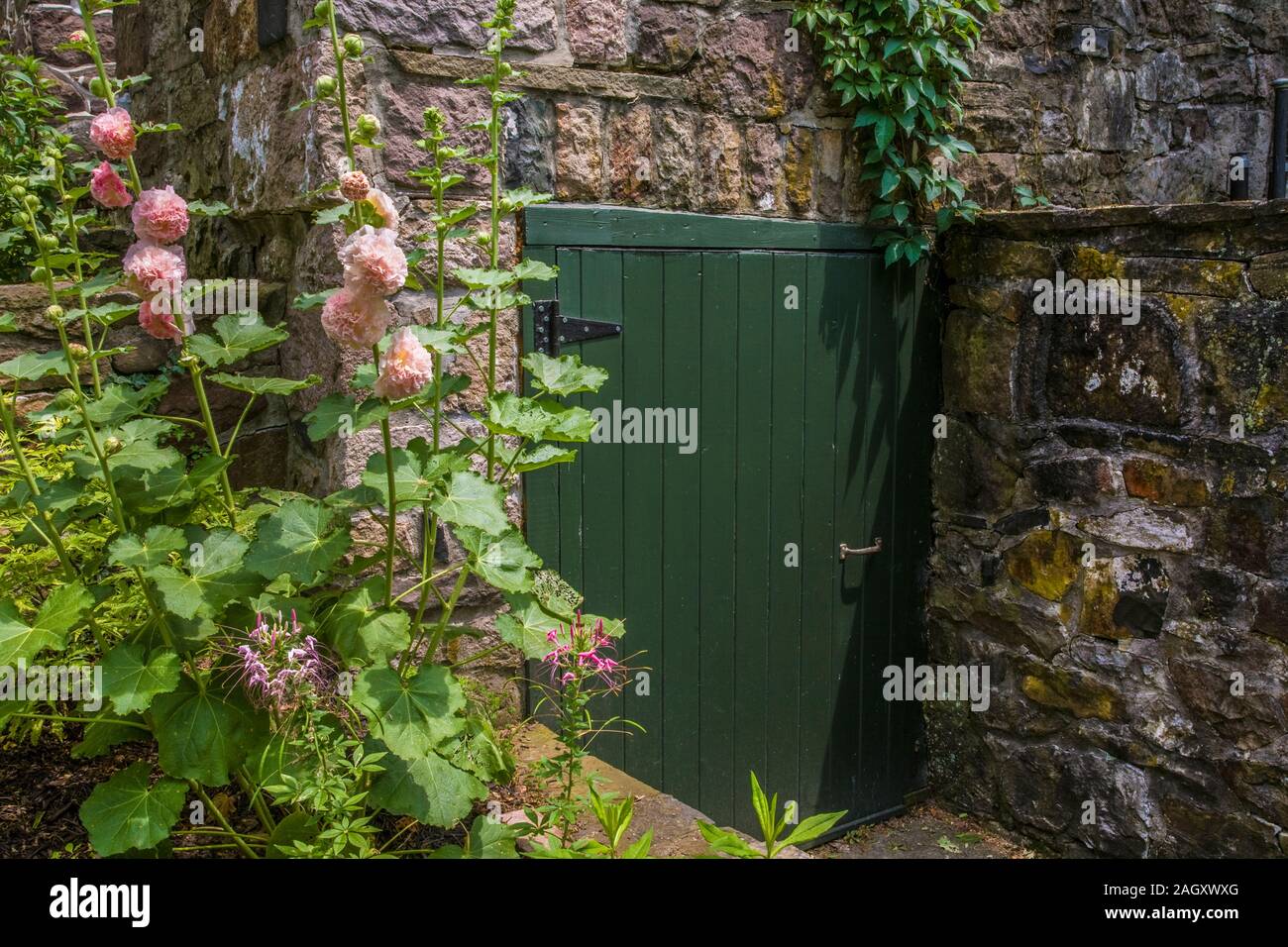Root cellar hi-res stock photography and images - Alamy